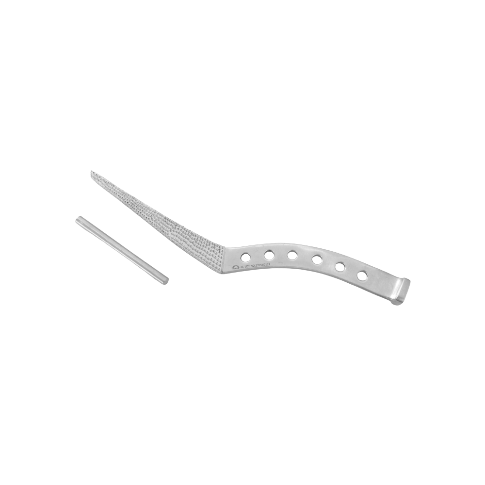 Moore type Rasp with Tomy Bar