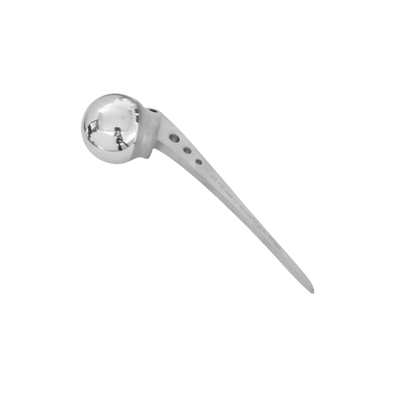 Austin Moore Hip Prosthesis Round Hole XL