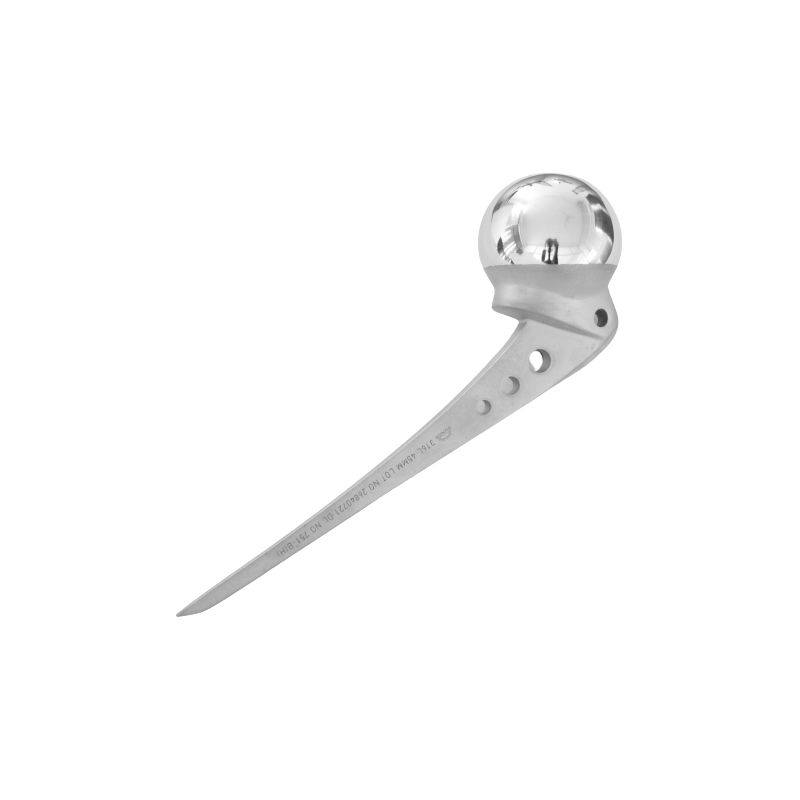 Austin Moore Hip Prosthesis Round Hole XL